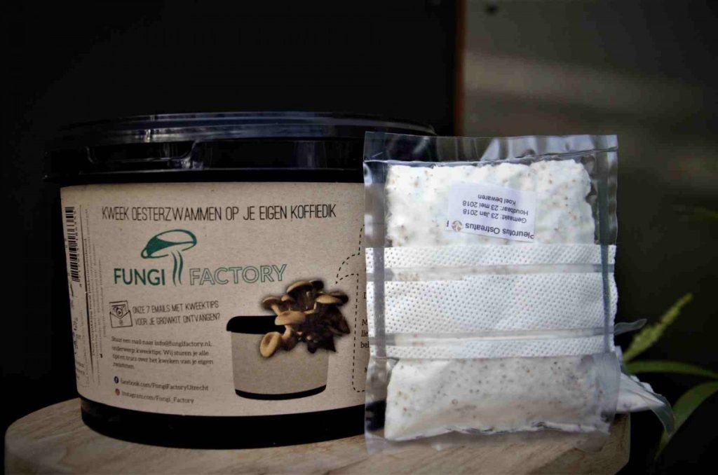 Fungi Factory Growkit - FungiFactory